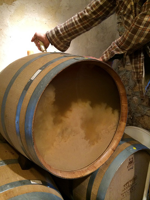 Wine 101: Barrel Fermentation | Wollersheim Winery, Distillery & Bistro